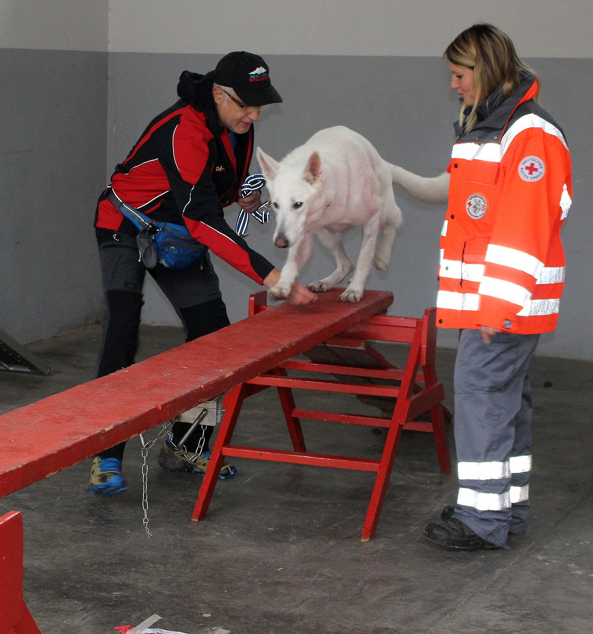 Überraschend großes Interesse - DRK-Kreisverband Göppingen e.V.