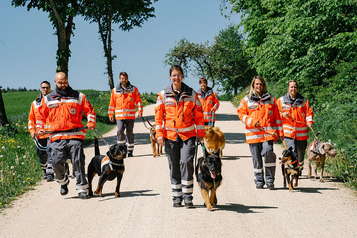Rettungshundestaffel sucht Verstärkung - DRK-Kreisverband Göppingen e.V.